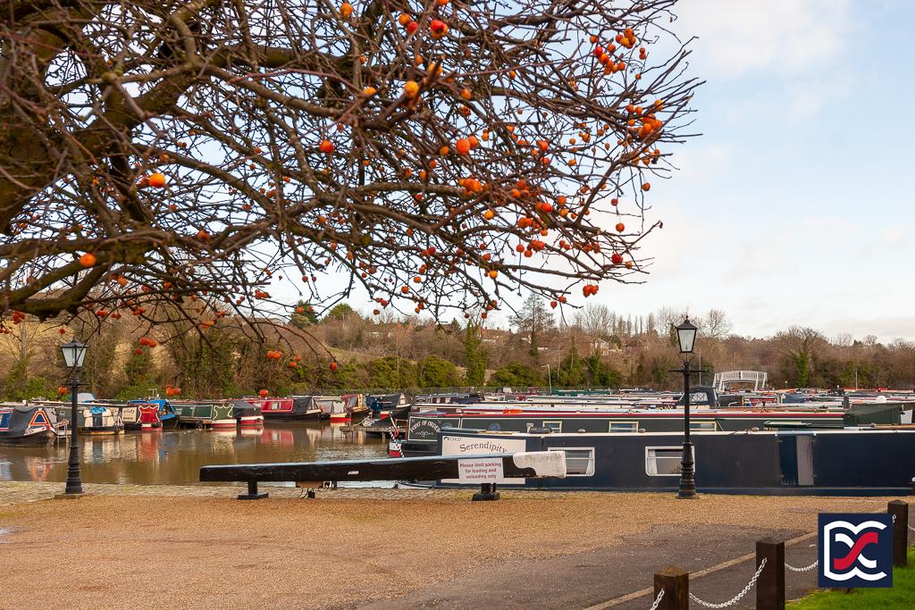 9 Welton House, Braunston - David Cosby Estate Agents
